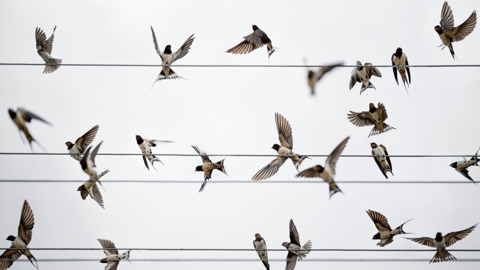 The Musical Journey of Jesse Powell: A Soulful Singer's Story - Zero 1 ...