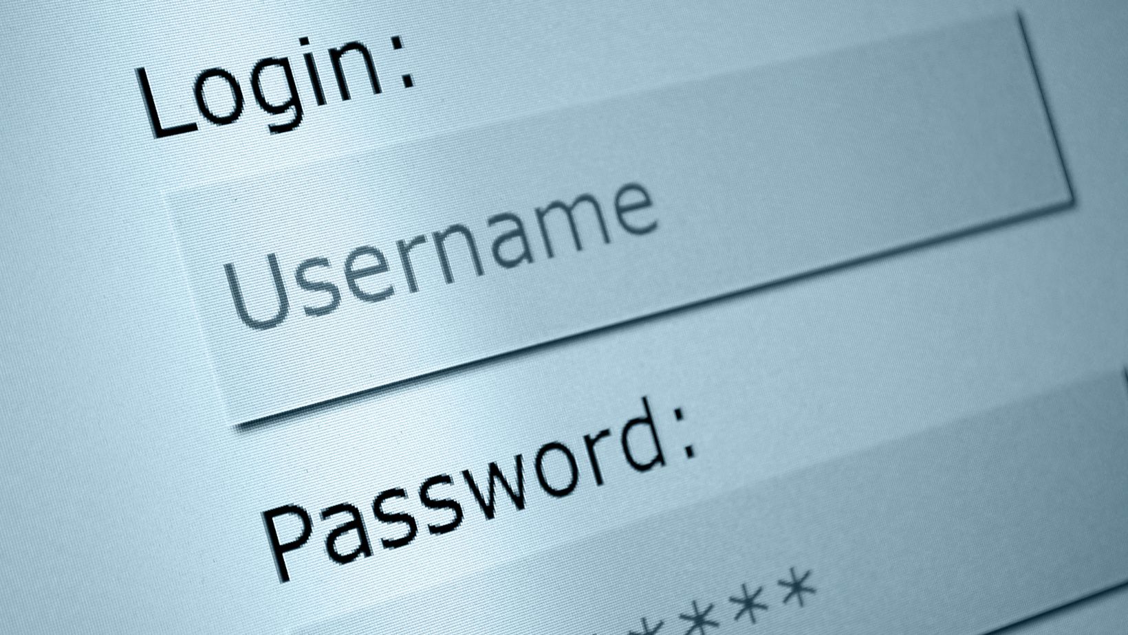 Troubleshooting Lvaction.Com Login: Tips for Smooth Access - Zero 1 ...